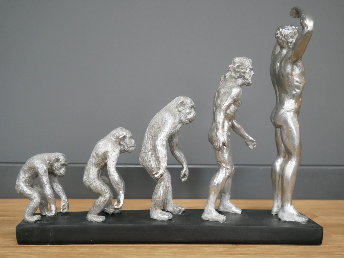 Dutch Imports 'Human Evolution' Ornament/Bodenhams